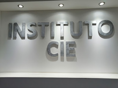 Instituto Universitario CIE | Estilos de Aprendizaje
