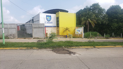 CEDIR Preescolar | Estilos de Aprendizaje