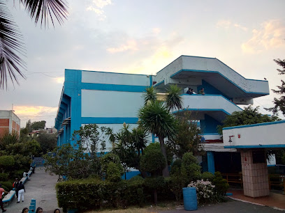 CETIS No. 49 | Estilos de Aprendizaje