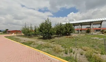 Bachillerato General Oficial CALMECAC